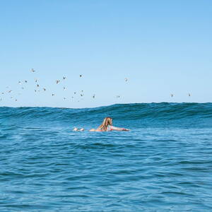 Campamentos de Surf y Escuelas de Surf - Planet Surf Camps